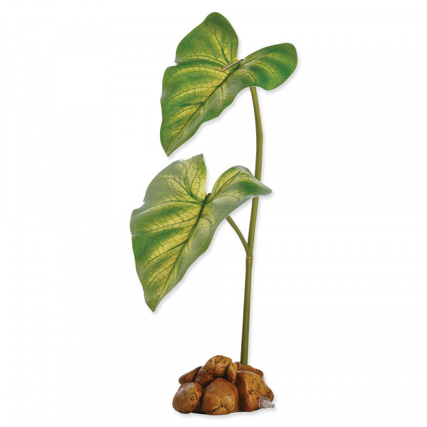 Rastlina Exo Terra Dripping Plant mala - Rastliny do terária | Animals.sk